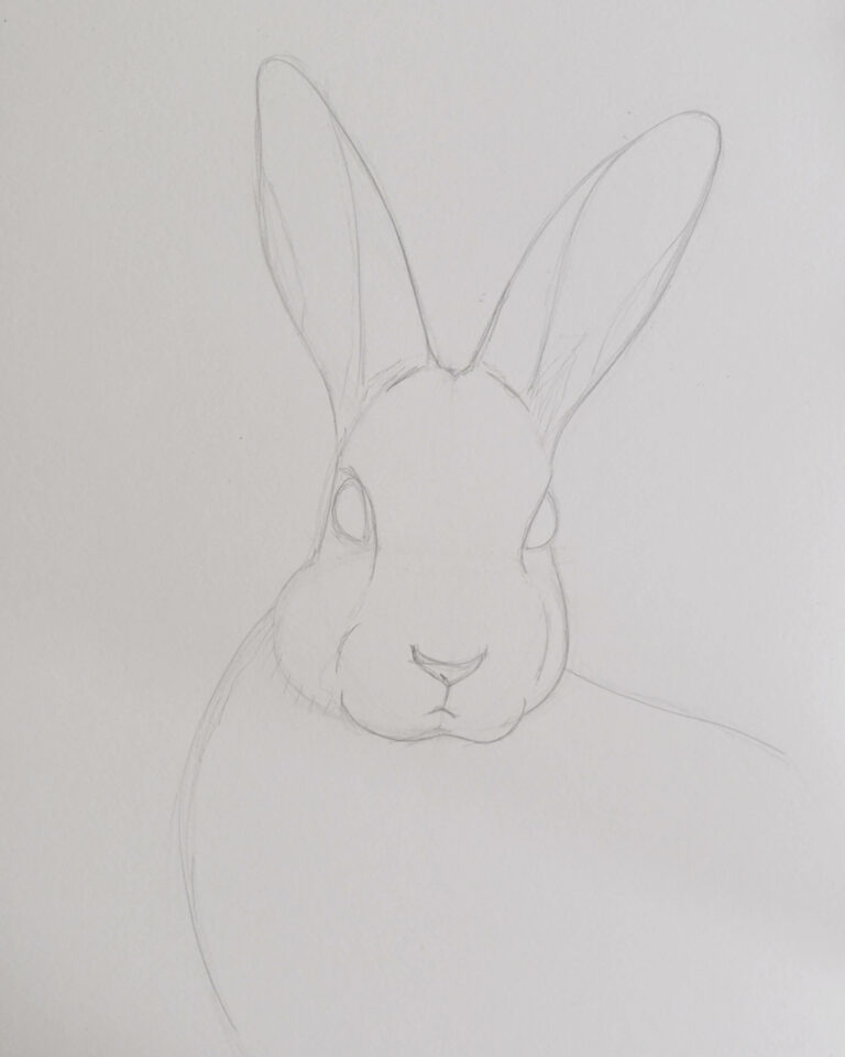 Draw a rabbit with pencils - Sabrina Hassler - Illustration & Drawing Blog