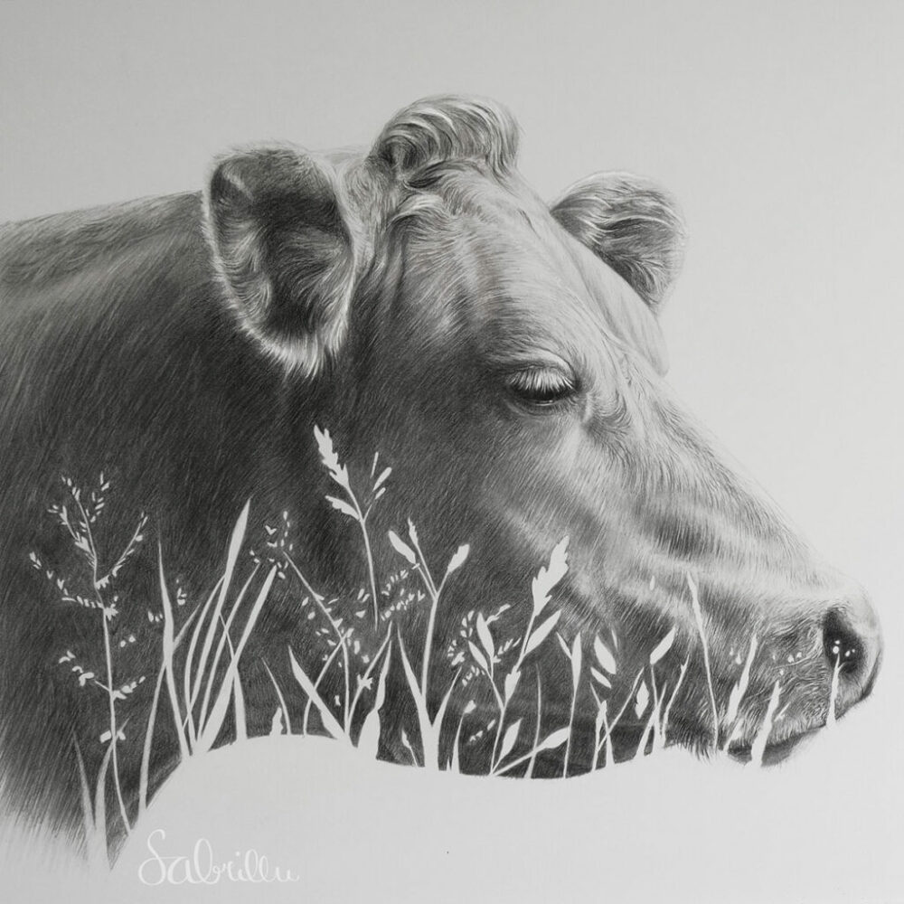 Learn how to draw animals | Easy Tutorials | Illustration & Drawing Blog