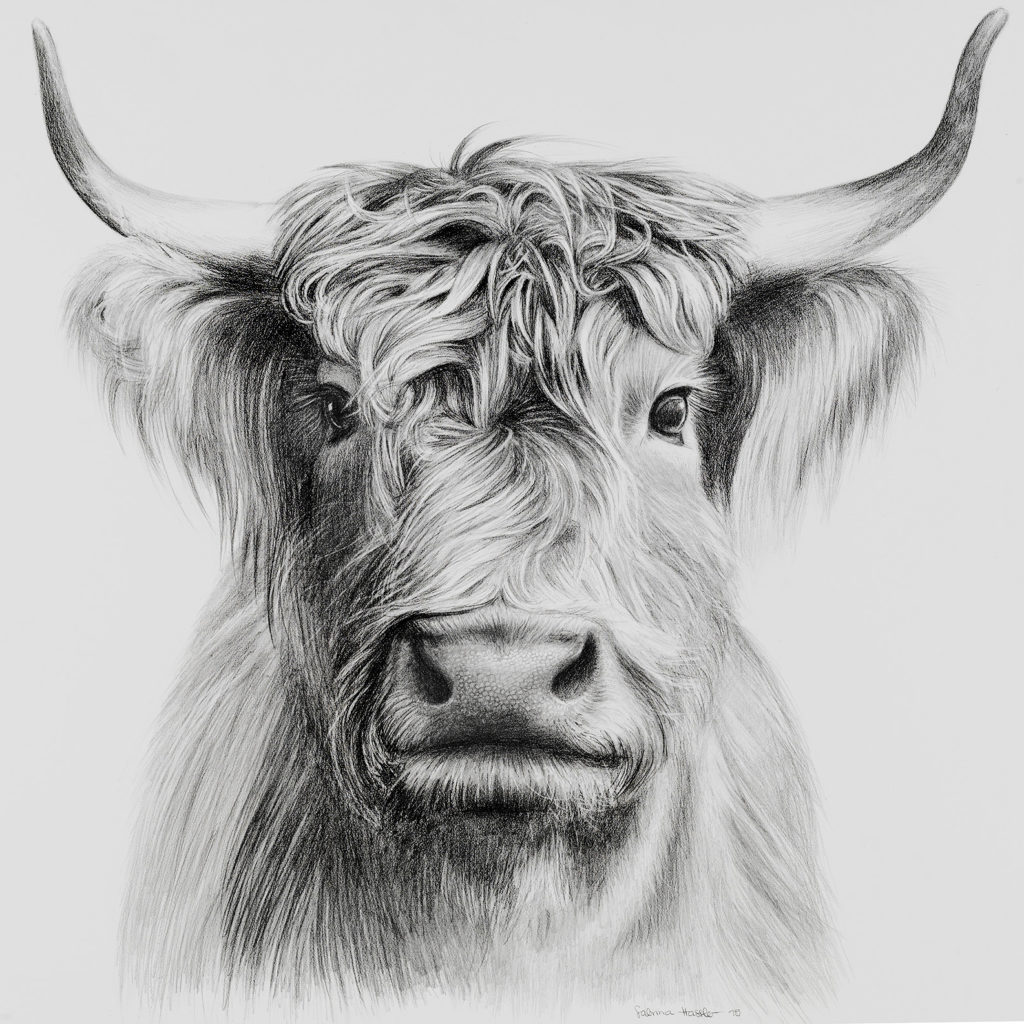 Learn how to draw animals | Easy Tutorials | Illustration & Drawing Blog